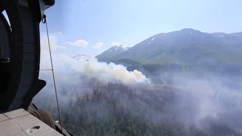 Bambi Black Stock Videos – Royalty-Free HD & 4K Videos | Pond5