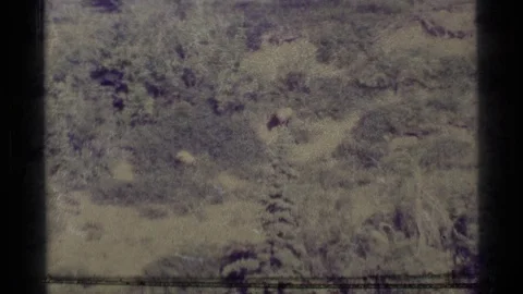 ALASKA USA-1977: Grainy Footage Of A Wha... | Stock Video | Pond5