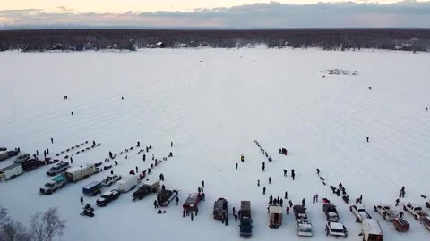 Dog Sled Race Stock Videos – Royalty-Free HD & 4K Videos