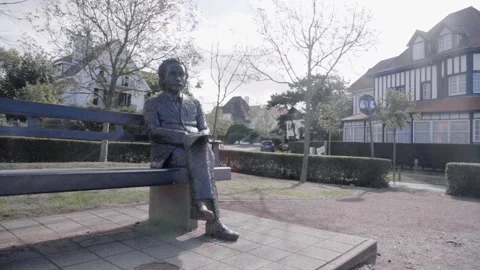 Albert Einstein on bench statue is locat... | Stock Video | Pond5