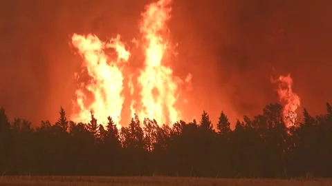 Chlip Clip Stock Videos – Royalty-Free HD & 4K Videos