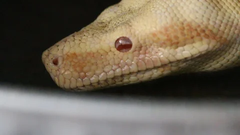 Drinking Water Texture Stock Footage ~ Royalty Free Stock Videos | Pond5