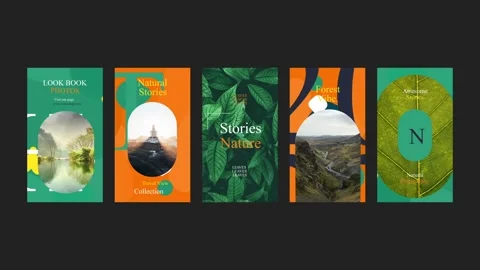 Album Instagram Reels ~ After Effects Template #260697501