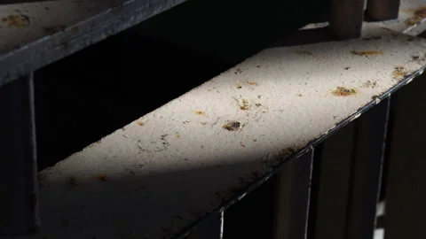 Prison Food Stock Footage ~ Royalty Free Stock Videos | Pond5