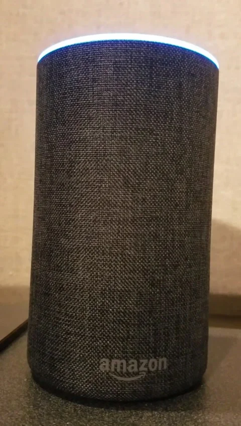 Song Sharks Stock Videos – Royalty-Free HD & 4K Videos | Pond5