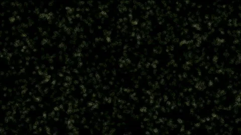 Algae cell bacteria microbes spore swimm... | Stock Video | Pond5