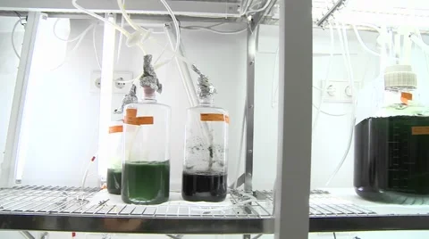 Algae flasks. Dolly movement from a phot... | Stock Video | Pond5