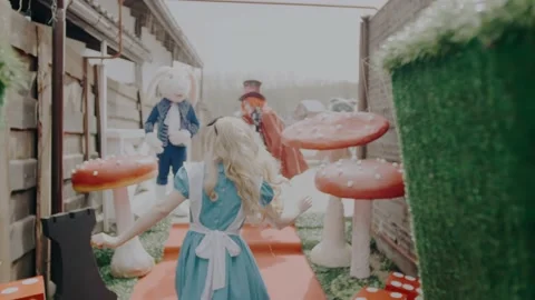 Alice and the hatter from the fairy tale... | Stock Video | Pond5