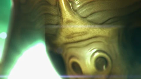 Stock Footage by Scott Hansen | Official Pond5 Storefront