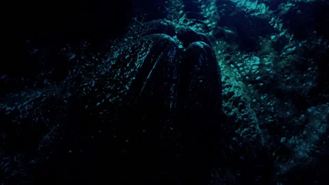 Alien Egg In Dark Cave Scifi Scene | Stock Video | Pond5
