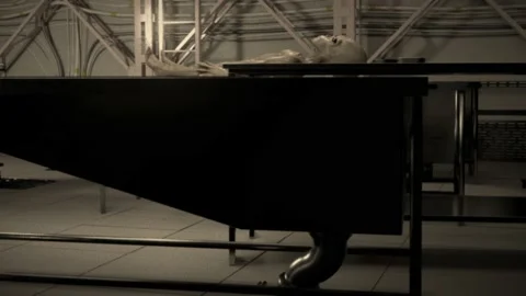 Alien laying on morgue table for Autopsy | Stock Video | Pond5