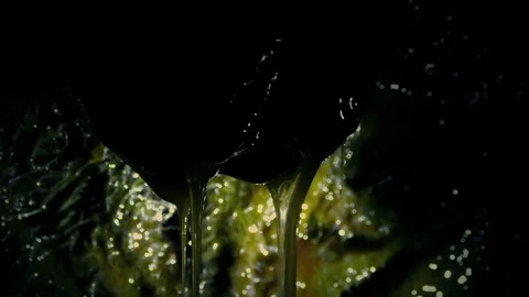Dripping Slime Stock Footage ~ Royalty Free Stock Videos | Pond5