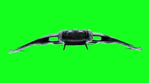 Spaceship Green Screen Stock Footage ~ Royalty Free Stock Videos | Pond5
