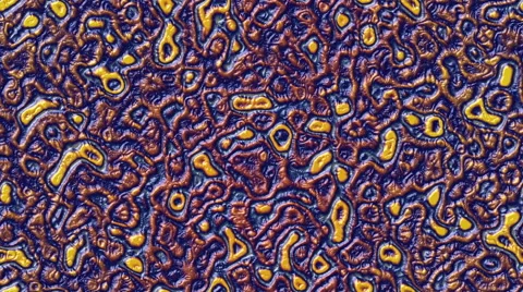 Alien Skin Texture Stock Video Footage | Royalty Free Alien Skin ...