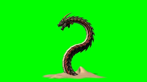 Worm Green Screen Stock Videos – Royalty-Free HD & 4K Videos | Pond5