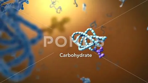 All chromosomal DNA is stored in the cell nucleus, separated from the ...