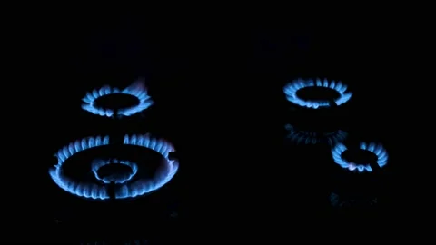 All In Four Stock Videos – Royalty-Free HD & 4K Videos | Pond5