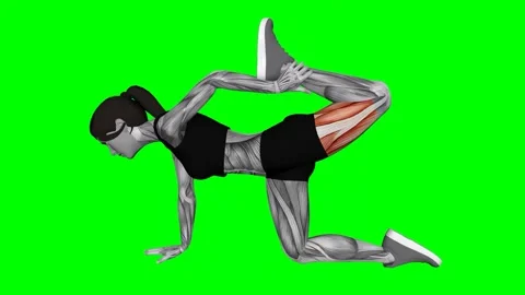 Quad Animation Stock Video Footage | Royalty Free Quad Animation Videos ...