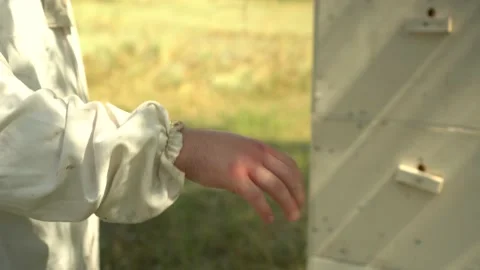 Allergic reaction to bee sting. A young ... | Stock Video | Pond5