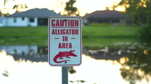 Caution Danger Stock Videos – Royalty-Free HD & 4K Videos | Pond5