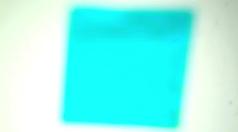 Alliuma epidermis under the microscope (... | Stock Video | Pond5