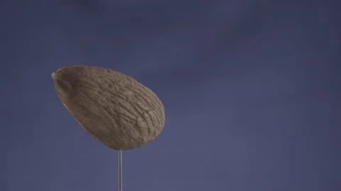 Almond rotating with loop on blue screen... | Stock Video | Pond5