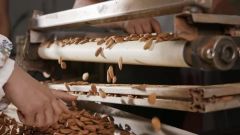 Almonds on a conveyor belt in an industr... | Stock Video | Pond5