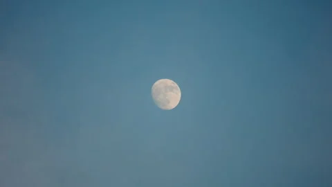 Waxing Full Body Stock Videos – Royalty-Free HD & 4K Videos | Pond5