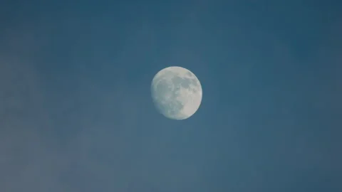 Waxing Full Body Stock Videos – Royalty-Free HD & 4K Videos | Pond5