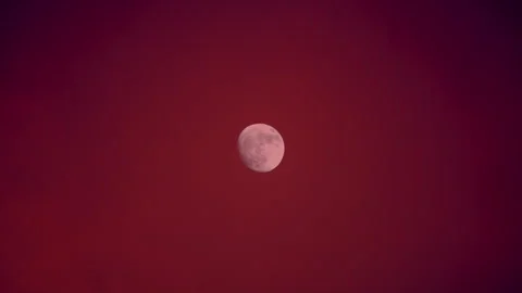 Waxing Full Body Stock Videos – Royalty-Free HD & 4K Videos | Pond5