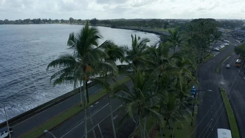 alt flying counter clockwise around palm... | Stock Video | Pond5