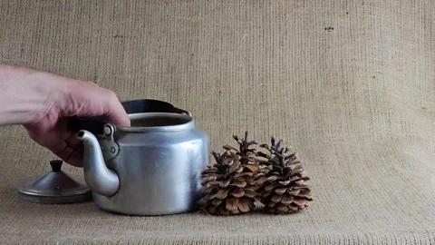 Asecond Life Stock Videos – Royalty-Free HD & 4K Videos