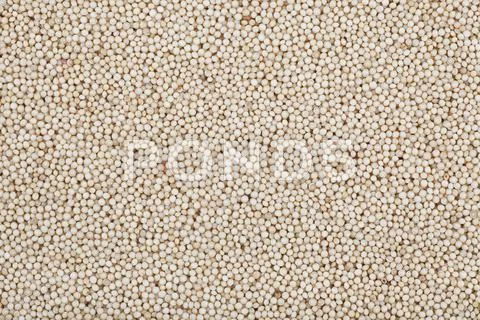 Amaranth texture ~ Premium Stock Photo ~ Image #11822169