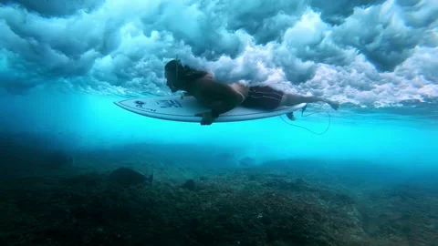 Duck Learn Stock Videos – Royalty-Free HD & 4K Videos | Pond5