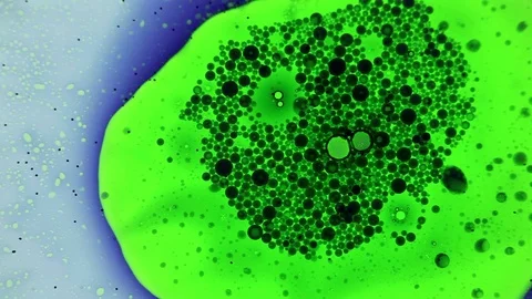 Cell Popping Stock Videos – Royalty-Free HD & 4K Videos