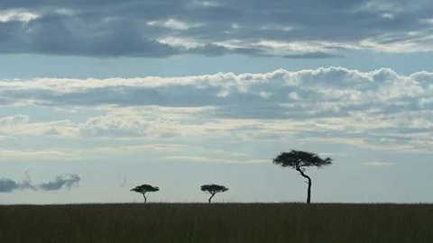 Amazing African landscape in Maasai Mara... | Stock Video | Pond5