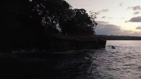 Amazing Boat Ride By Beautiful Costa Ric... | Stock Video | Pond5