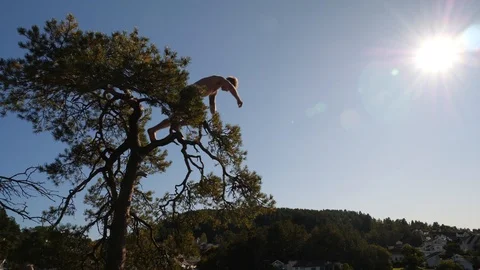 Amazing "death dive" flip from a tree on... | Stock Video | Pond5