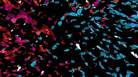 Butterfly Alpha Mask Stock Videos – Royalty-Free HD & 4K Videos