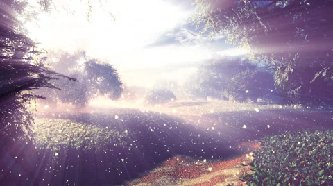 Amazing Natural Wonderland with Fireflie... | Stock Video | Pond5