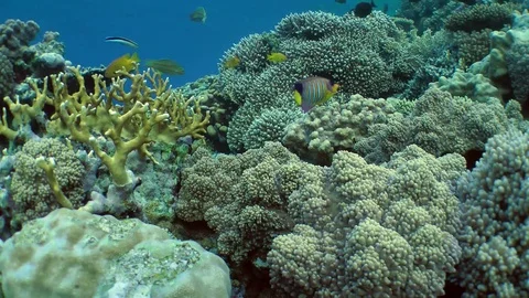 Kind : Picture Stock Videos – Royalty-Free HD & 4K Videos | Pond5