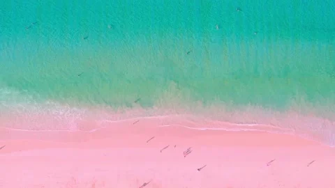 Pink Beach Beach Stock Videos – Royalty-Free HD & 4K Videos | Pond5