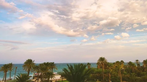 Tropical Birds Flying Stock Videos – Royalty-Free HD & 4K Videos | Pond5