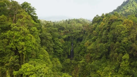 Amazing waterfall revealed through thick... | Stock Video | Pond5