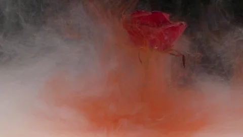 Amazingly wonderful atmospheric shot of ... | Stock Video | Pond5