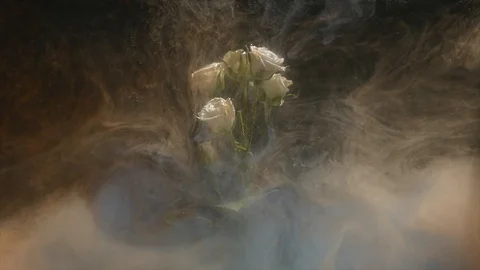 Amazingly wonderful atmospheric shot of ... | Stock Video | Pond5