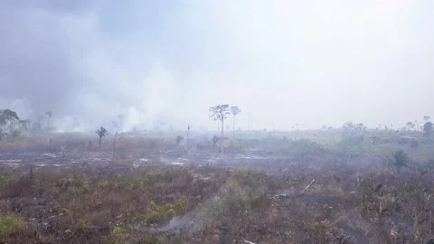 A Image From Stock Videos – Royalty-Free HD & 4K Videos