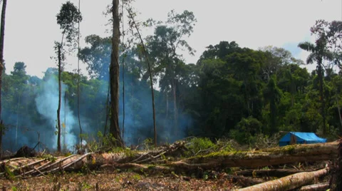 Amazon Fire Stock Video Footage | Royalty Free Amazon Fire Videos | Pond5