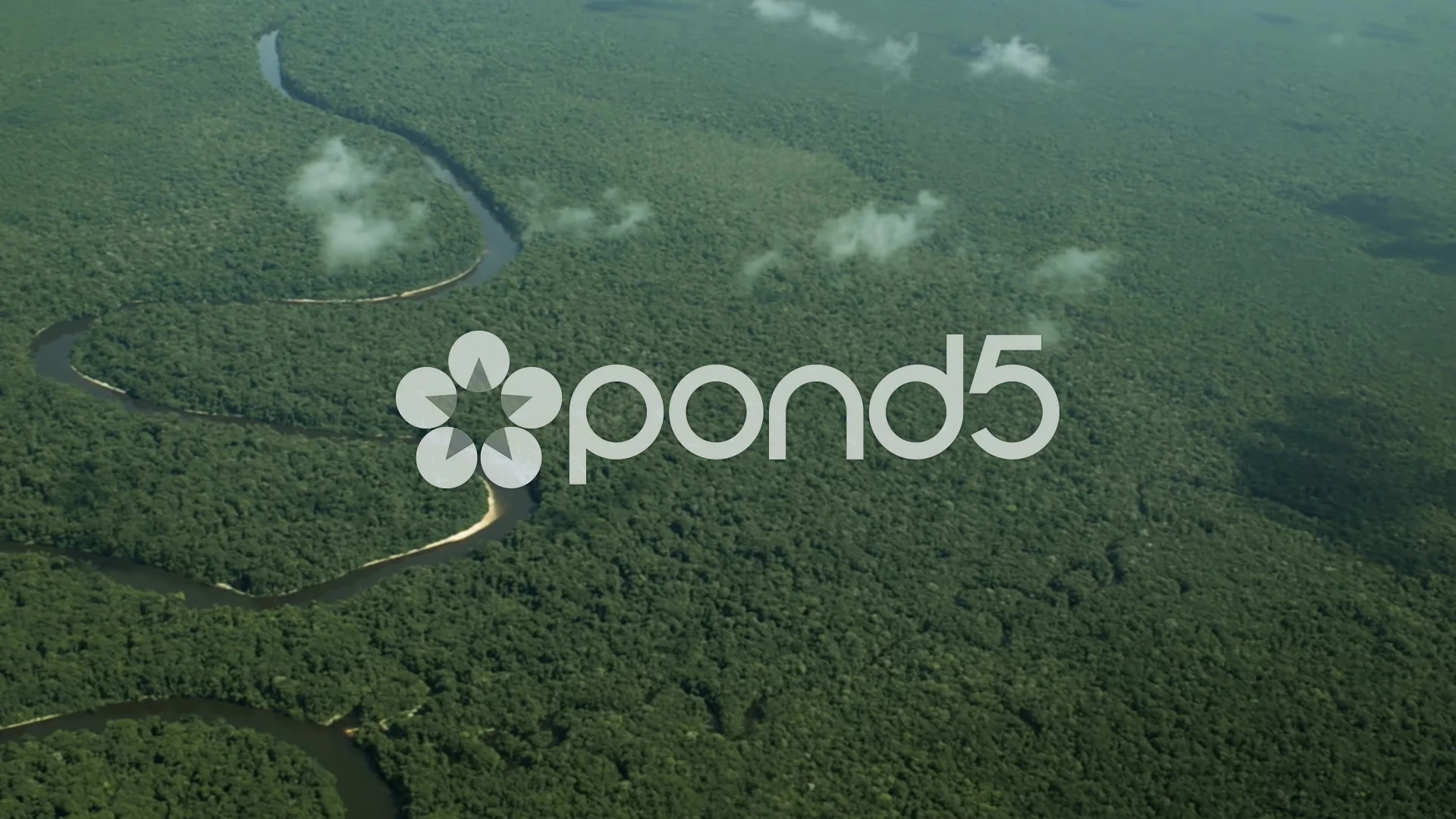 Beautiful Amazon Rainforest Birds Eye View Drone Photos Of The