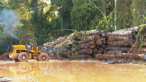Amazon rainforest deforestation - tracto... | Stock Video | Pond5
